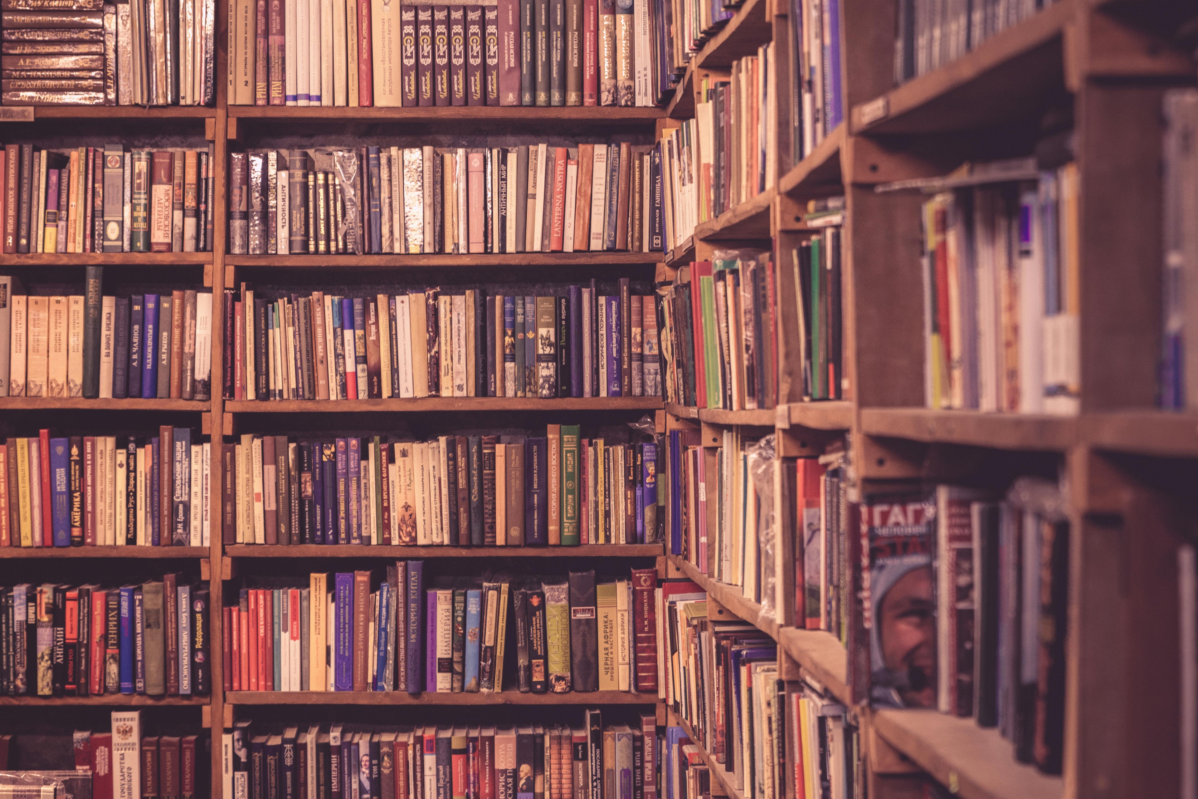The Most Popular Authors in America Right Now – Reader's Closet
